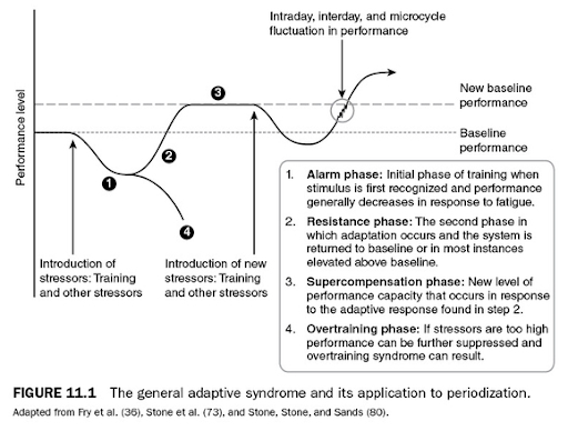 Why we hit a plateau – and what to do to kick start your progress ...